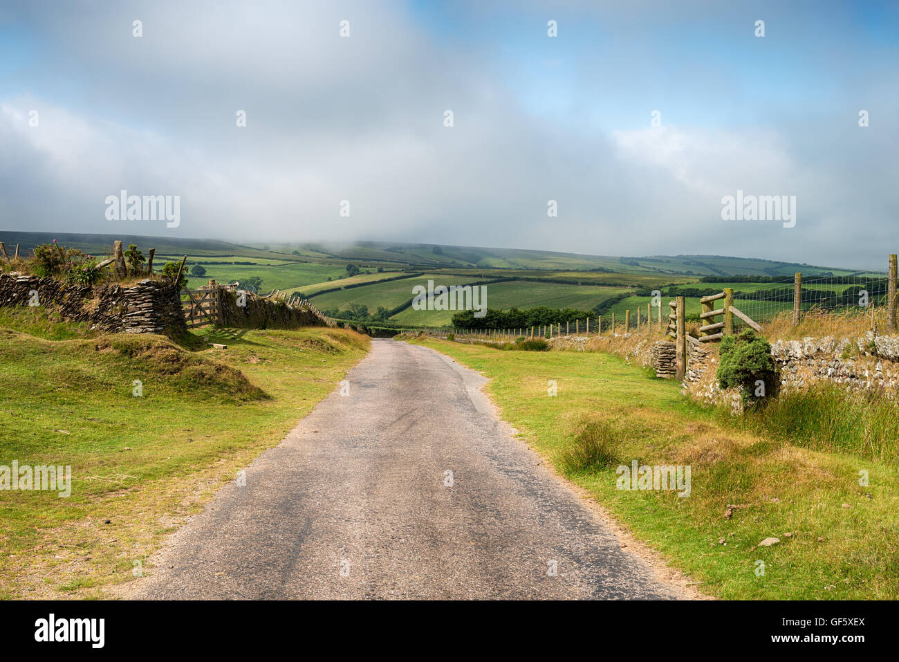 United kingdom country lane hi-res stock photography and images - Alamy