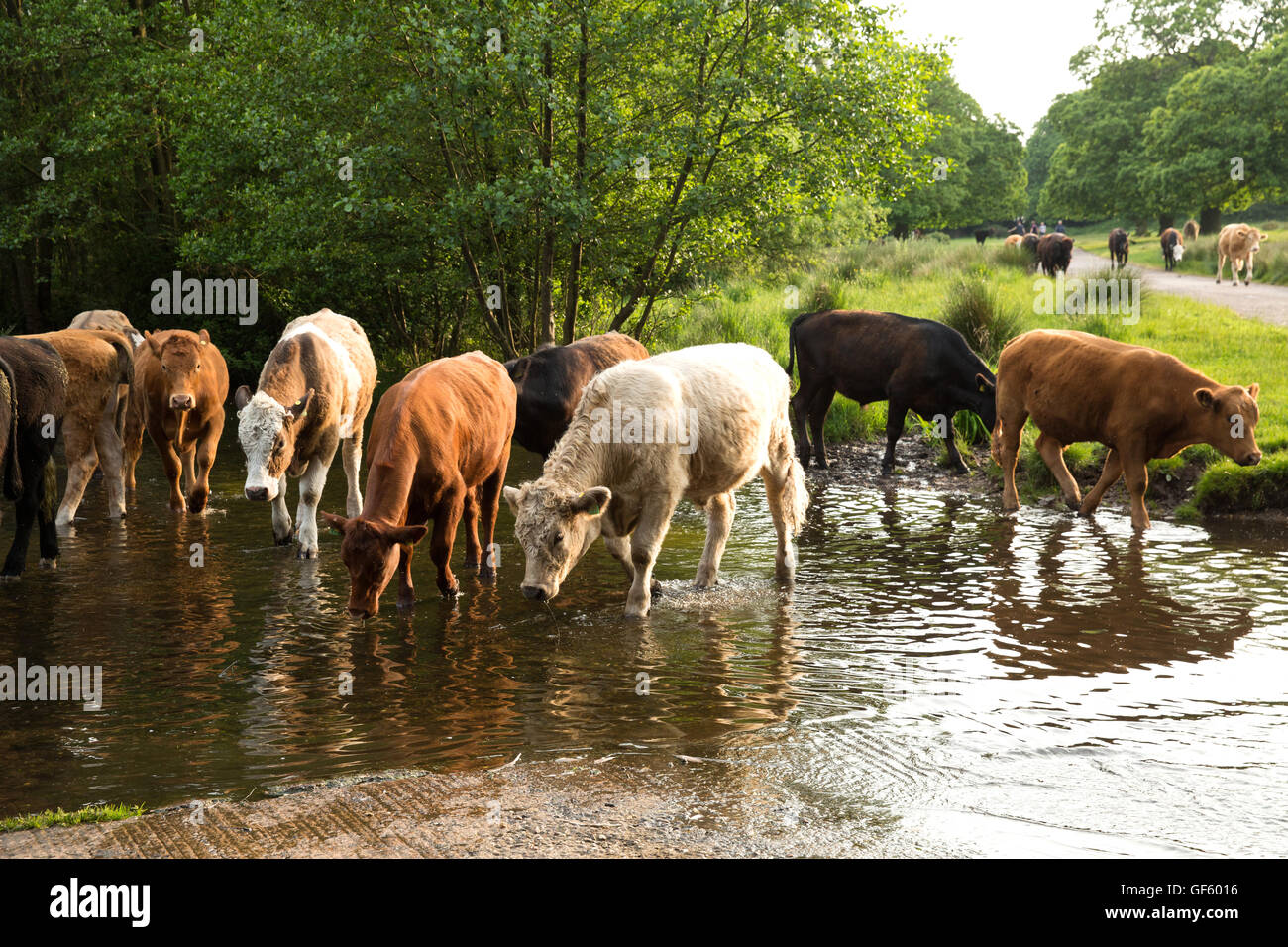 Sutton west hi-res stock photography and images - Alamy