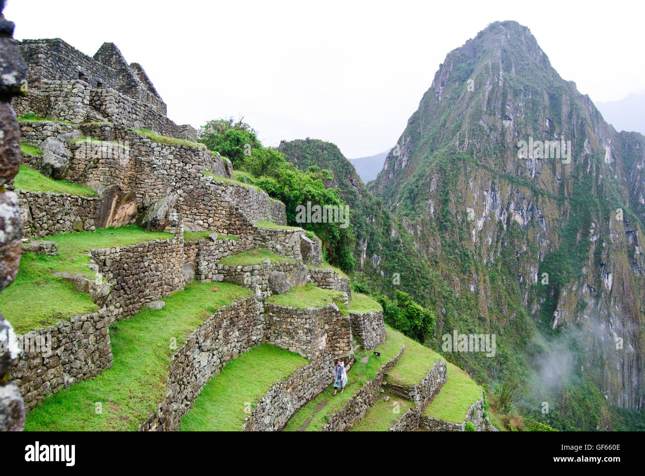The terraces of Machu Picchu and the Andes Mountains Stock Photo - Alamy