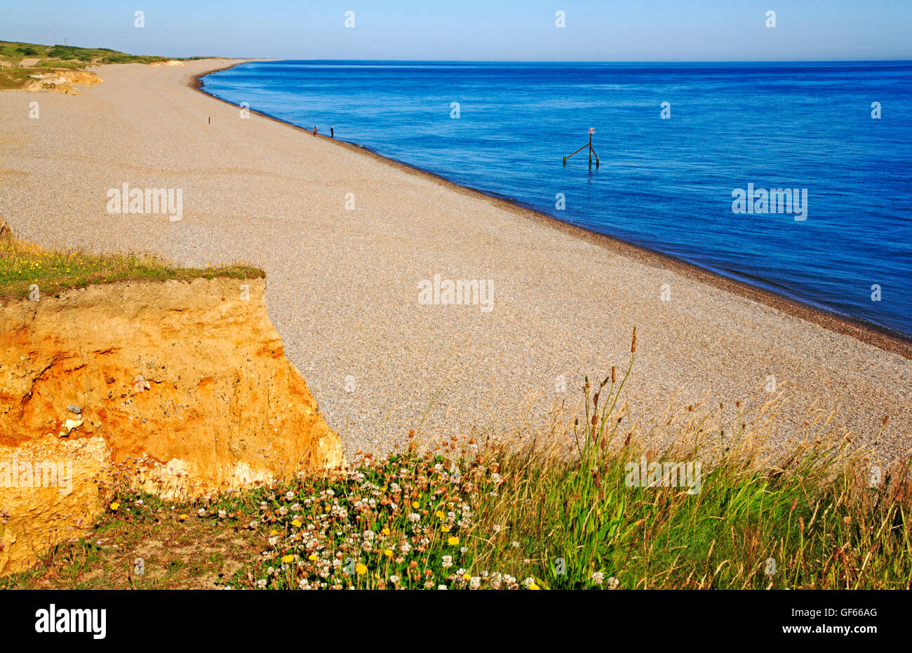 A view of the shingle beach and ridge from the low cliffs at Weybourne ...