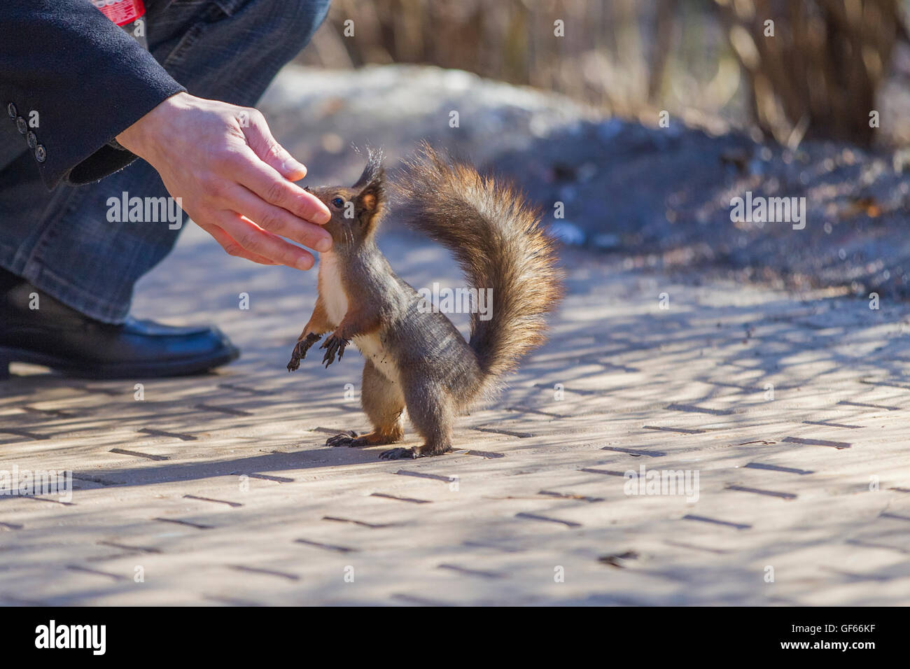Food afraid hi-res stock photography and images - Alamy