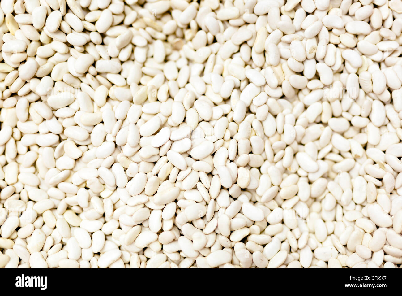 White beans texture Stock Photo - Alamy
