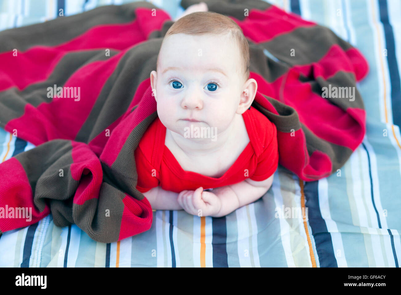Family under cover hi-res stock photography and images - Alamy