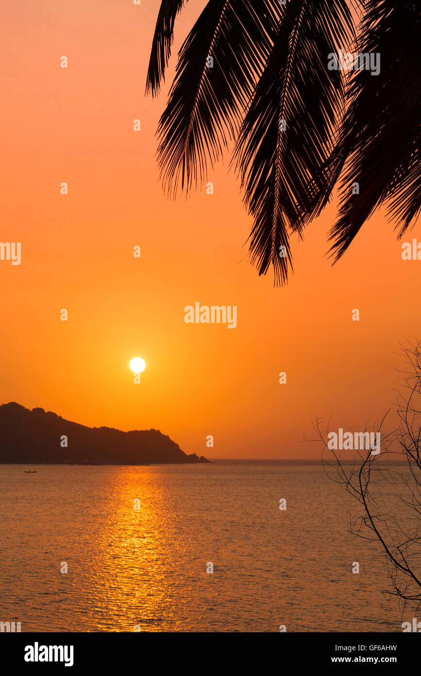 Palm leaves goa sunset hi-res stock photography and images - Alamy
