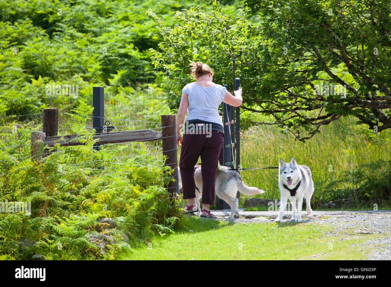 Female with walker hi-res stock photography and images - Alamy