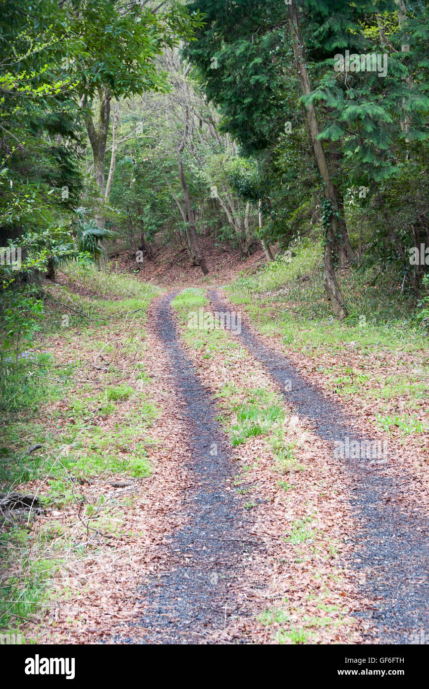Quiet mountain trail in hi-res stock photography and images - Alamy