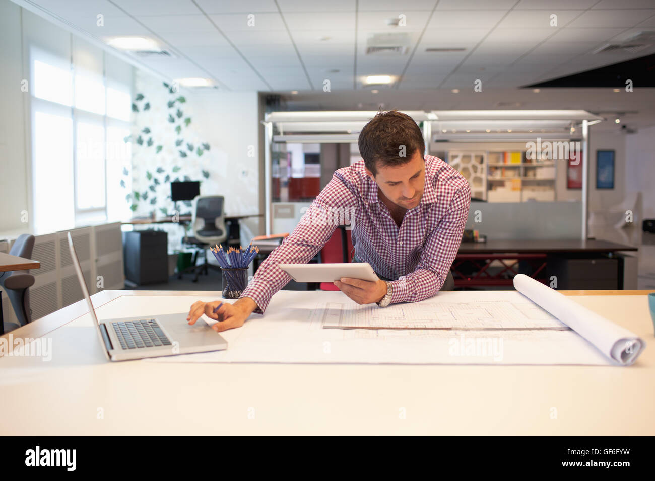 Portrait of man looking at blueprint in office Stock Photo - Alamy