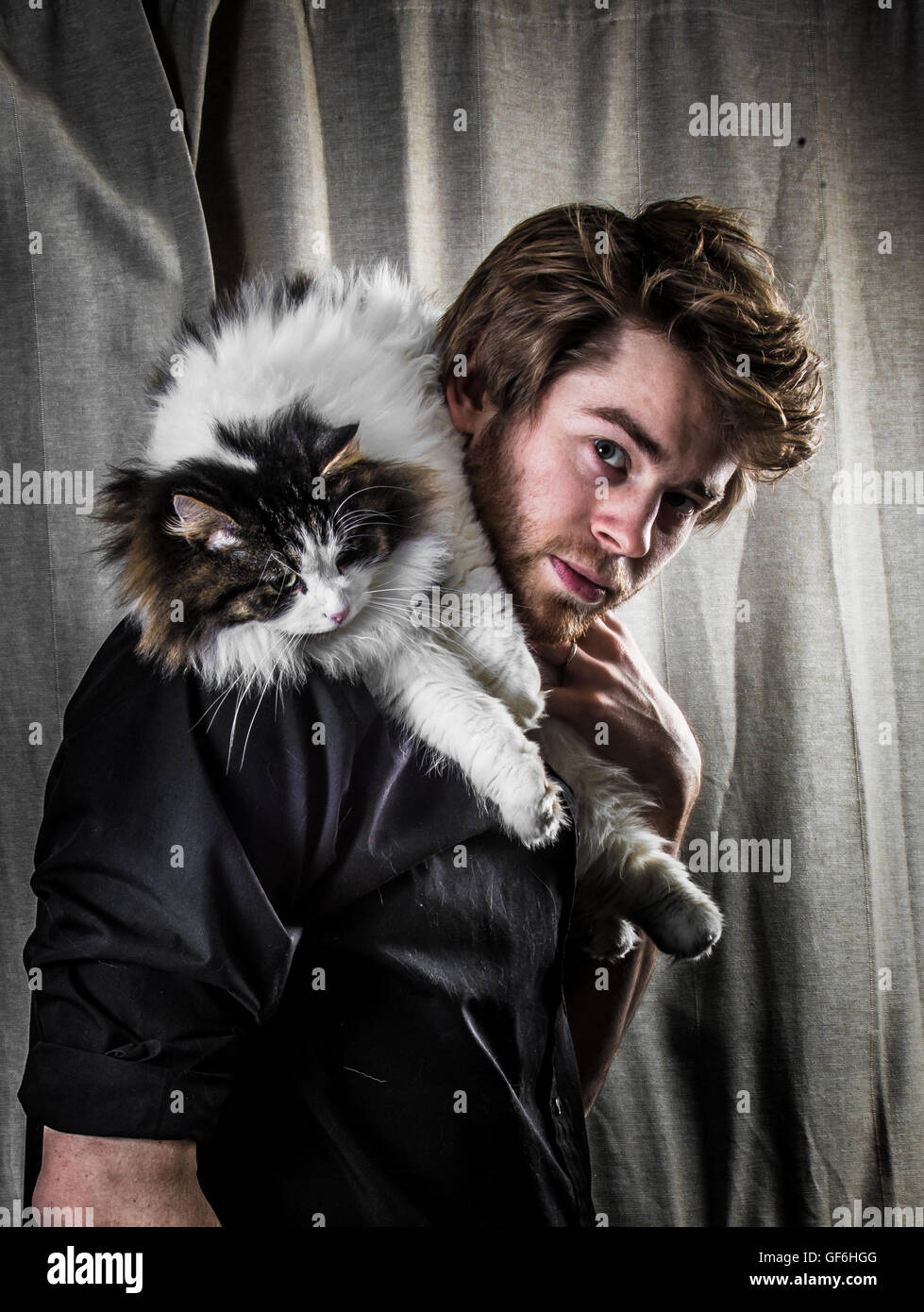 Cat neck hi-res stock photography and images - Alamy