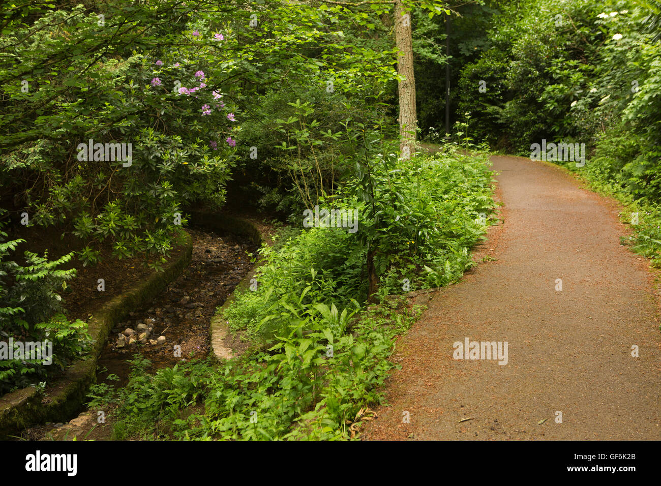 Public parks paths hi-res stock photography and images - Alamy