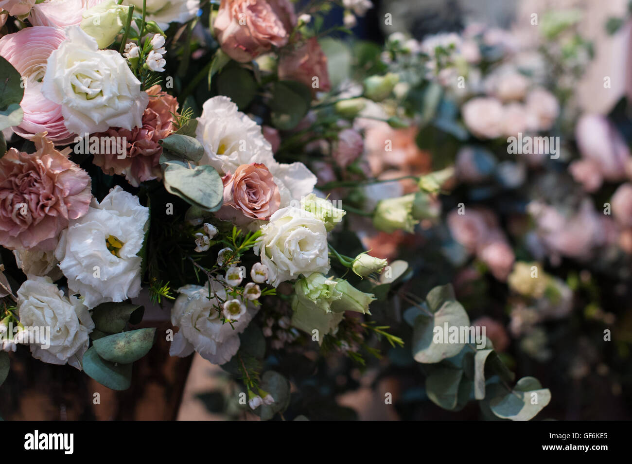 Pink white roses hi-res stock photography and images - Alamy