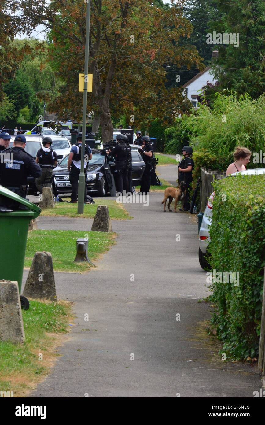 English Police Stake out in Surrey Stock Photo - Alamy
