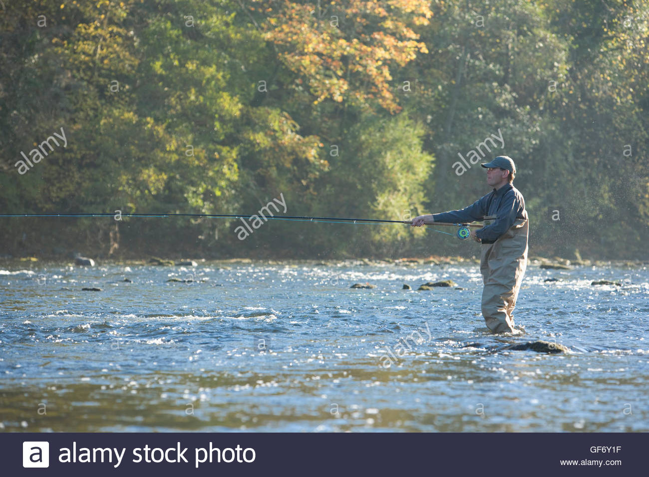 Salmon Fishing On The Tweed High Resolution Stock Photography and ...