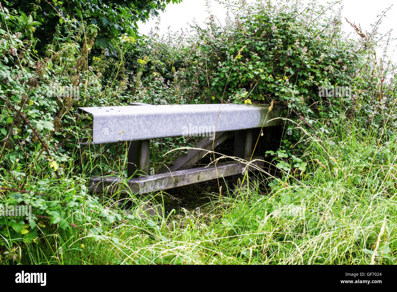 Nature reclaiming the modern. Guard rail consumed by bushes and ...