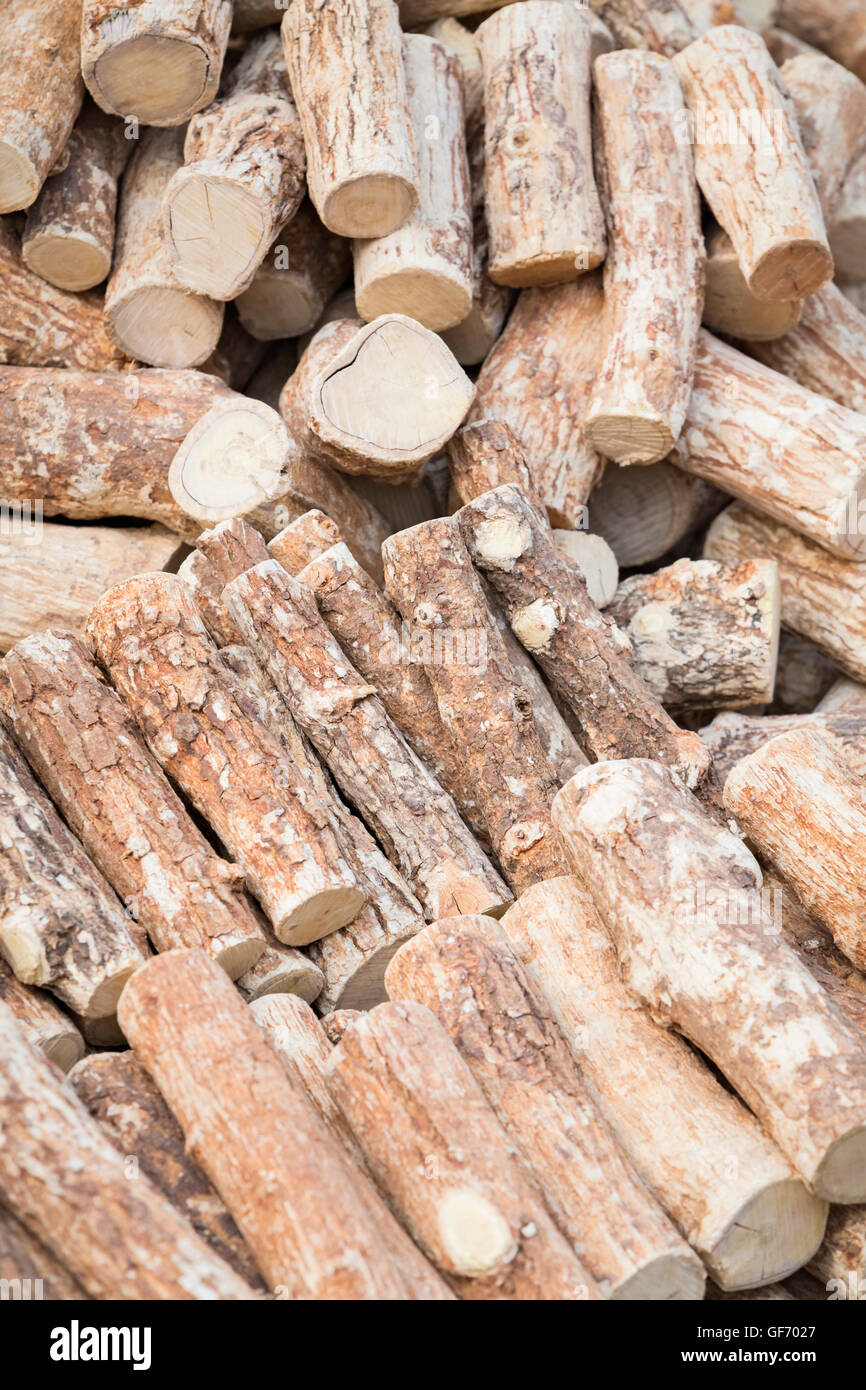 Thanaka wood, Myanmar Stock Photo - Alamy