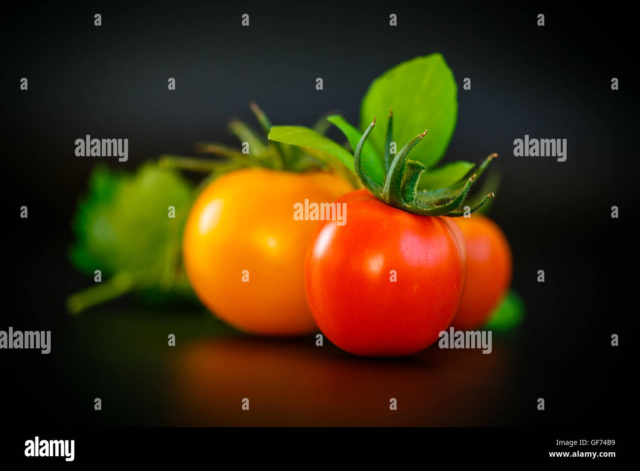 Fresh ripe tomatoes Stock Photo - Alamy