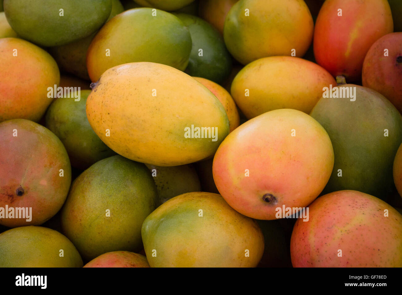 pile of fresh mango fruits closeup - mangoes background Stock Photo - Alamy