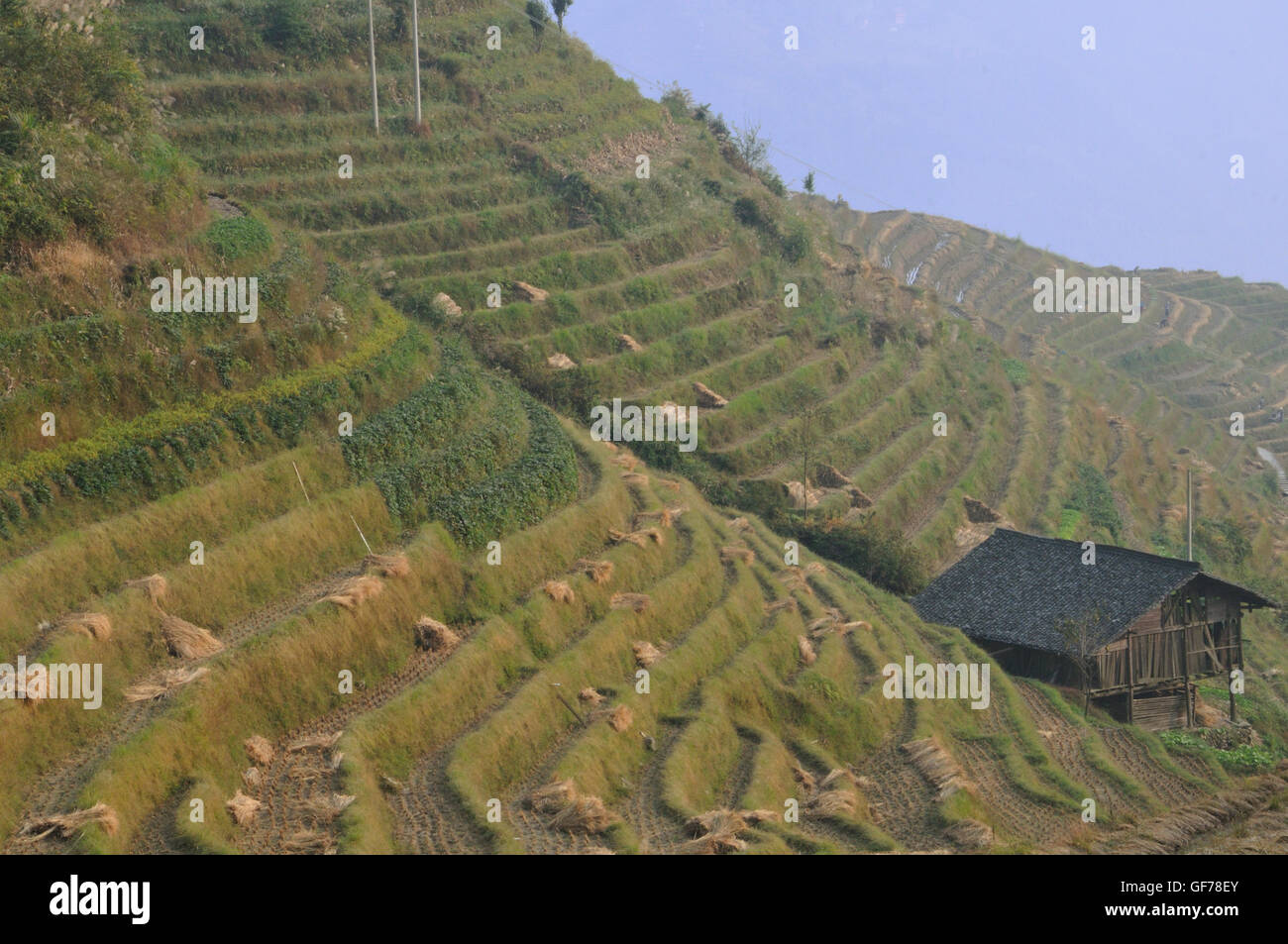 Pingan hi-res stock photography and images - Alamy