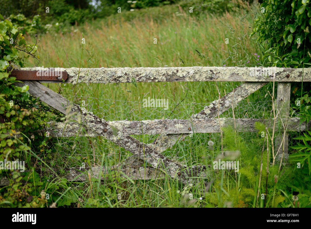 Rotting entrance gate hi-res stock photography and images - Alamy