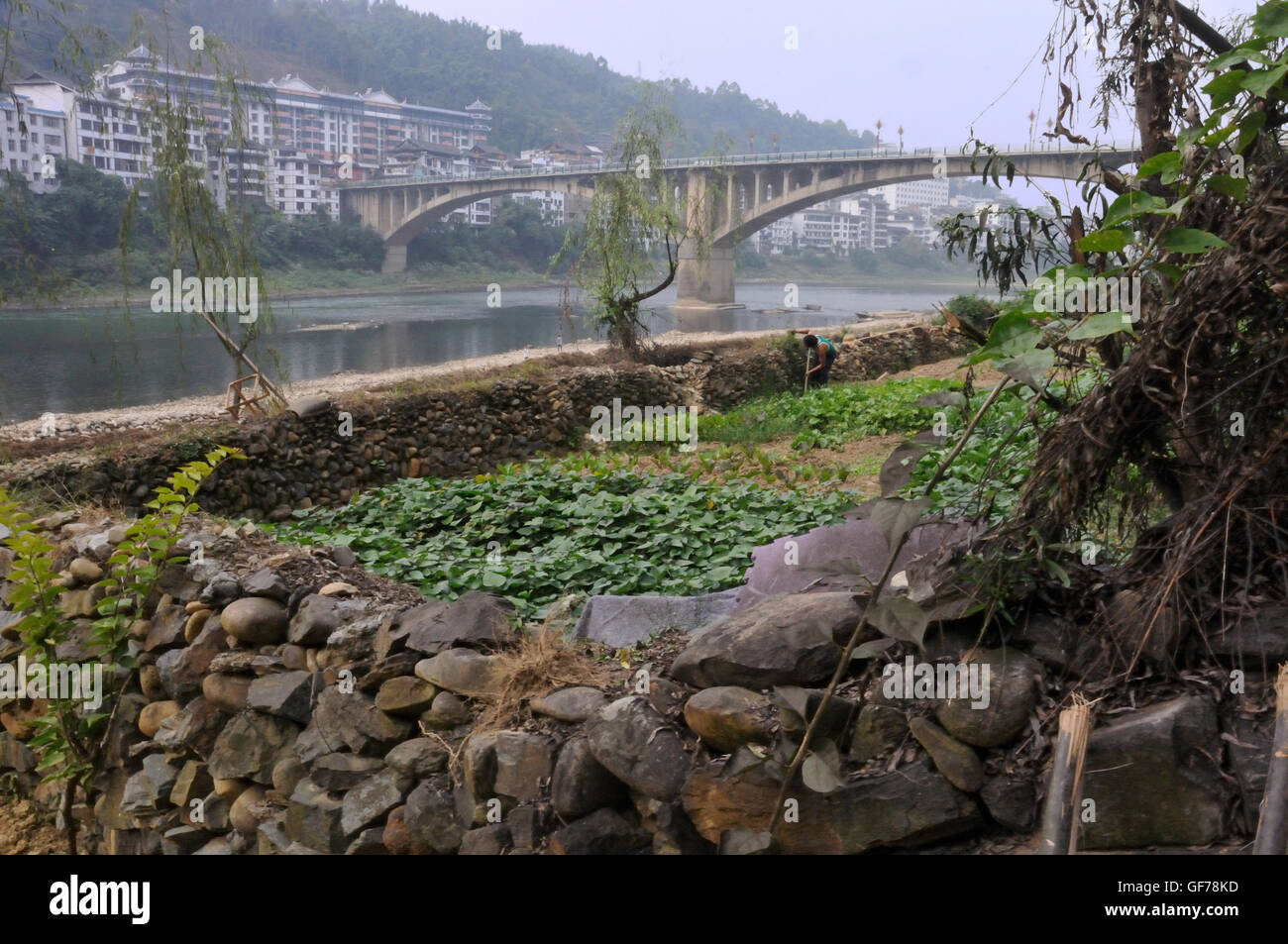 Urban Garden and Bridge Across Duliu River in Congjiang, Guizhou, China ...