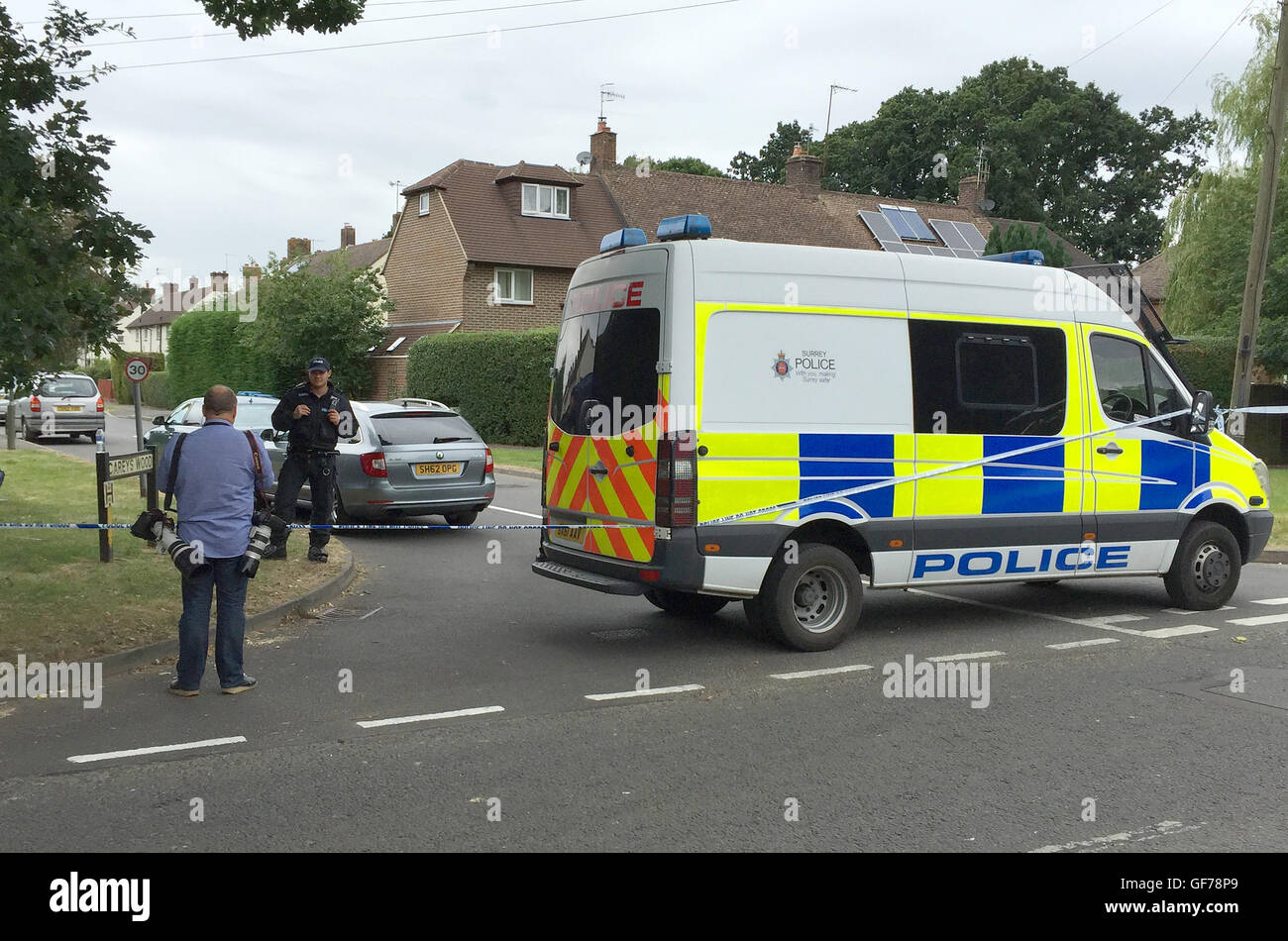 Police at the scene in Smallfield, Surrey, after armed police and a ...
