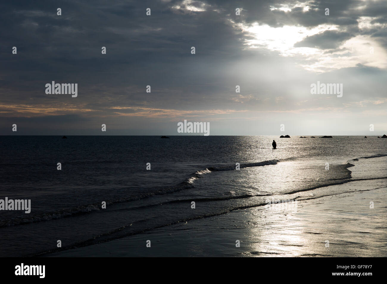 Lone shrimp fisherman in the sea, Normandy, France Stock Photo - Alamy