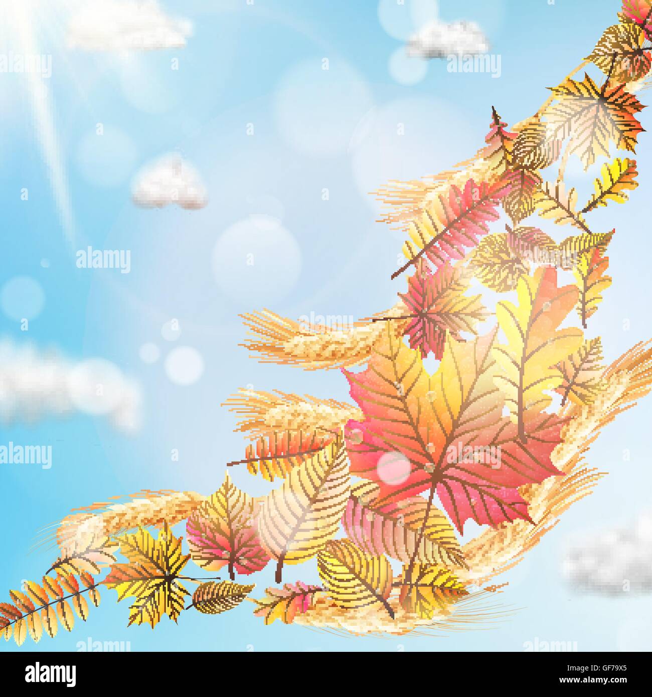 Autumn foliage on sunny Stock Vector Images - Alamy