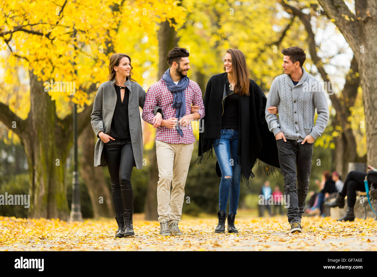 Group walking in park autumn hi-res stock photography and images - Alamy