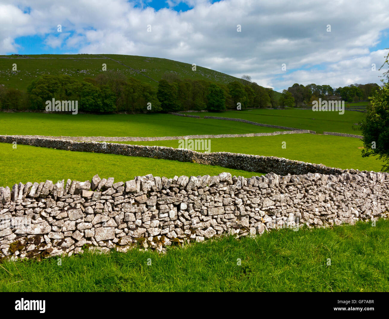 Typical White Peak District National Park landscape with trees and ...