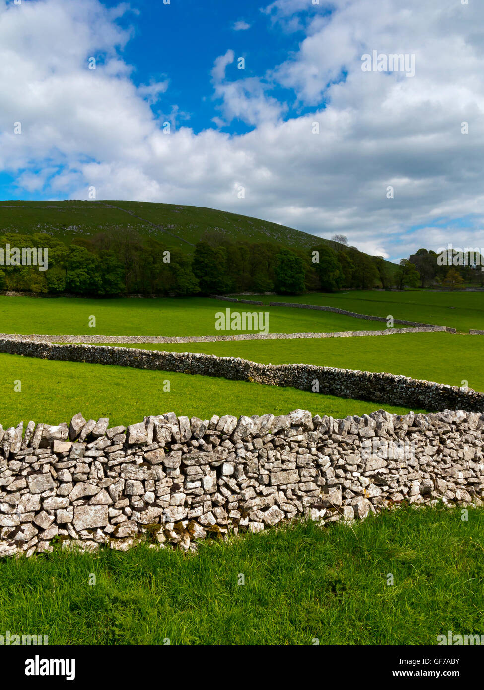 Typical White Peak District National Park landscape with trees and ...