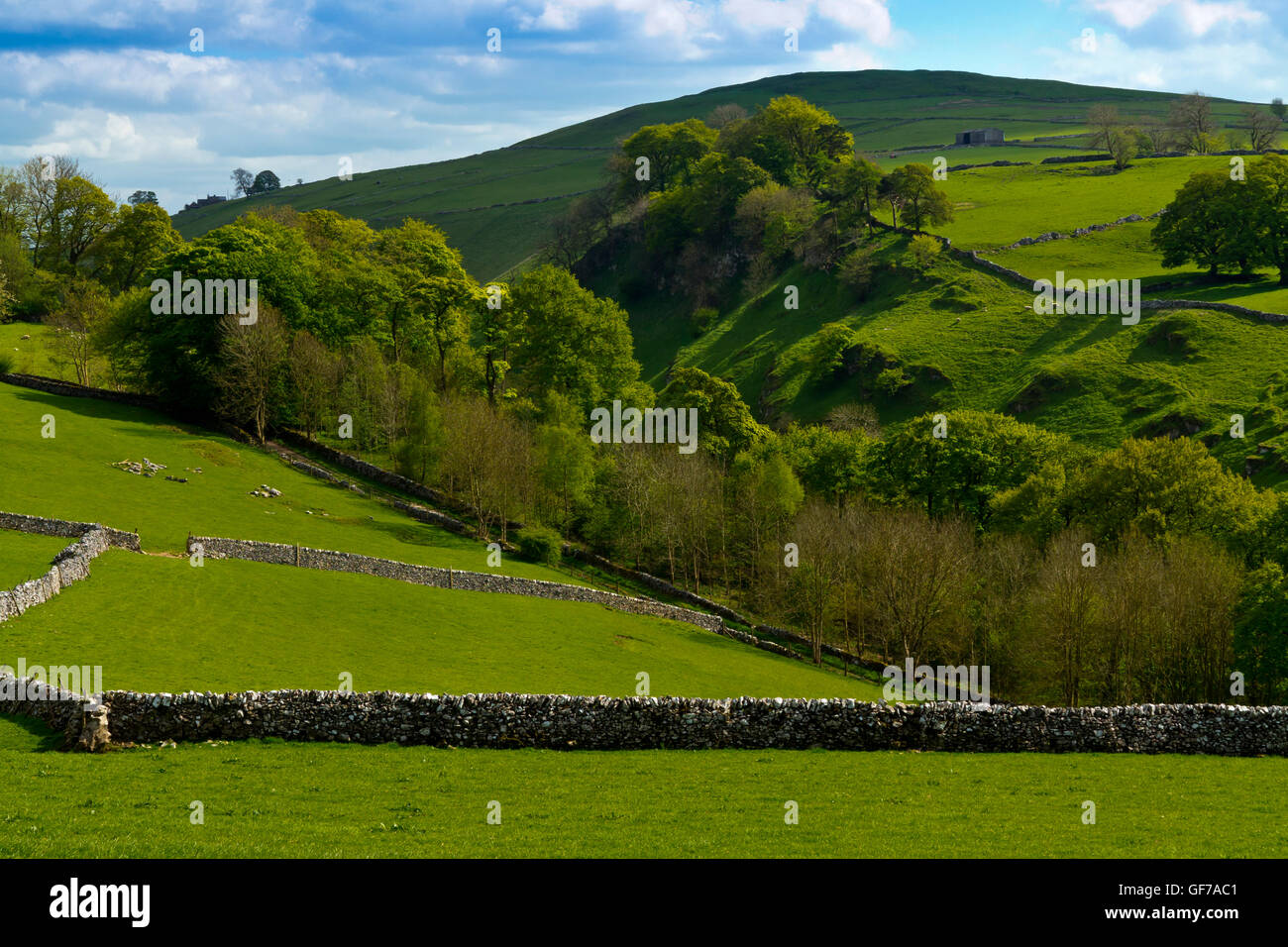 Typical White Peak District National Park landscape with trees and ...