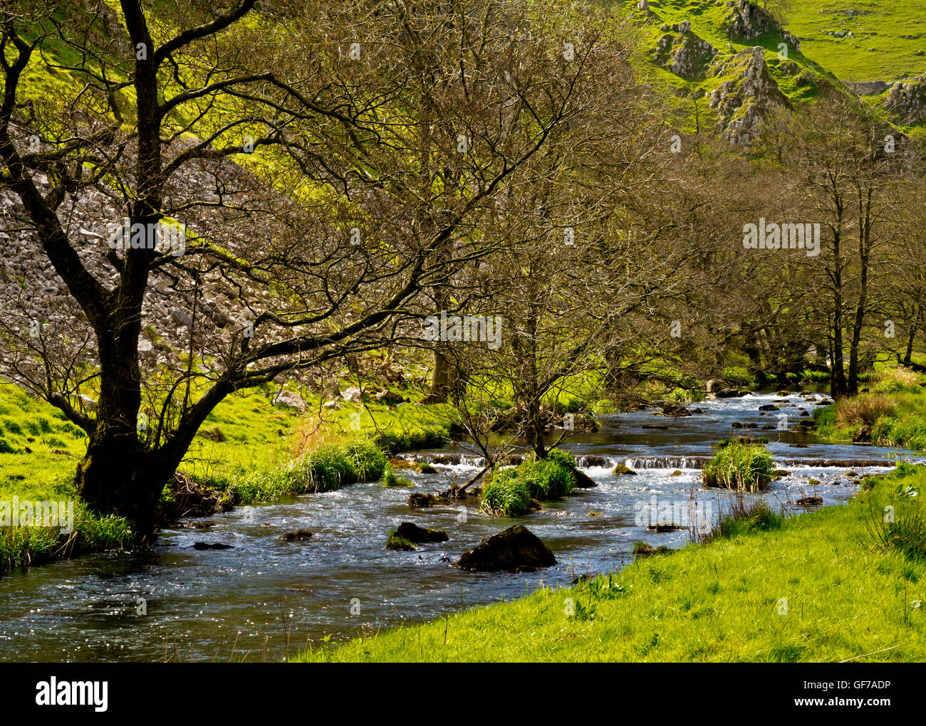 River Dove at Wolfscote Dale near Hartington in White Peak area of the ...