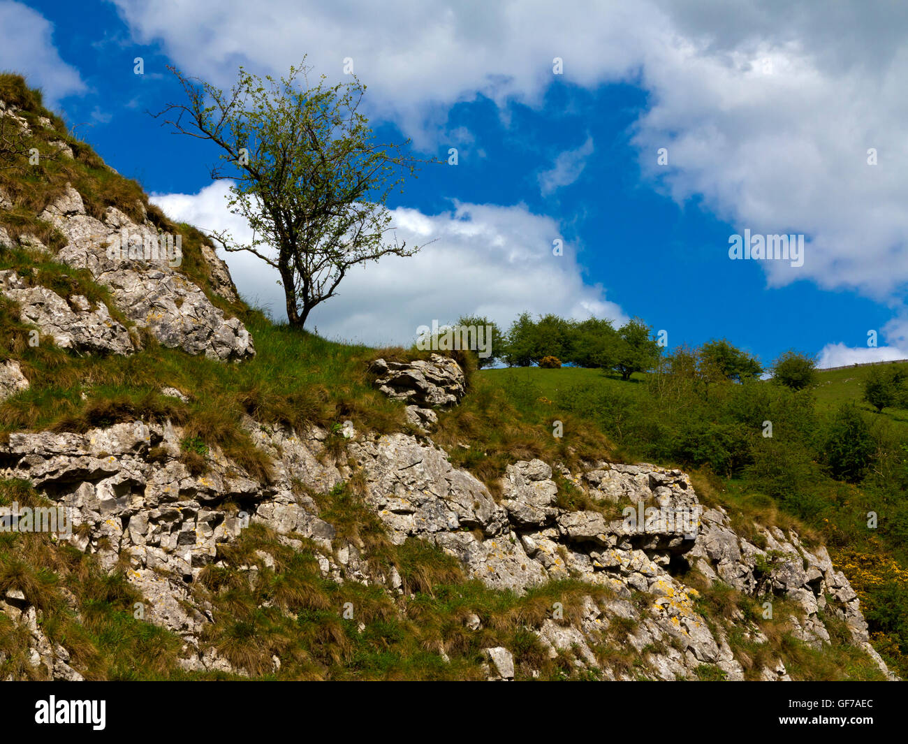 Limestone scenery at Wolfscote Dale near Hartington in White Peak area ...