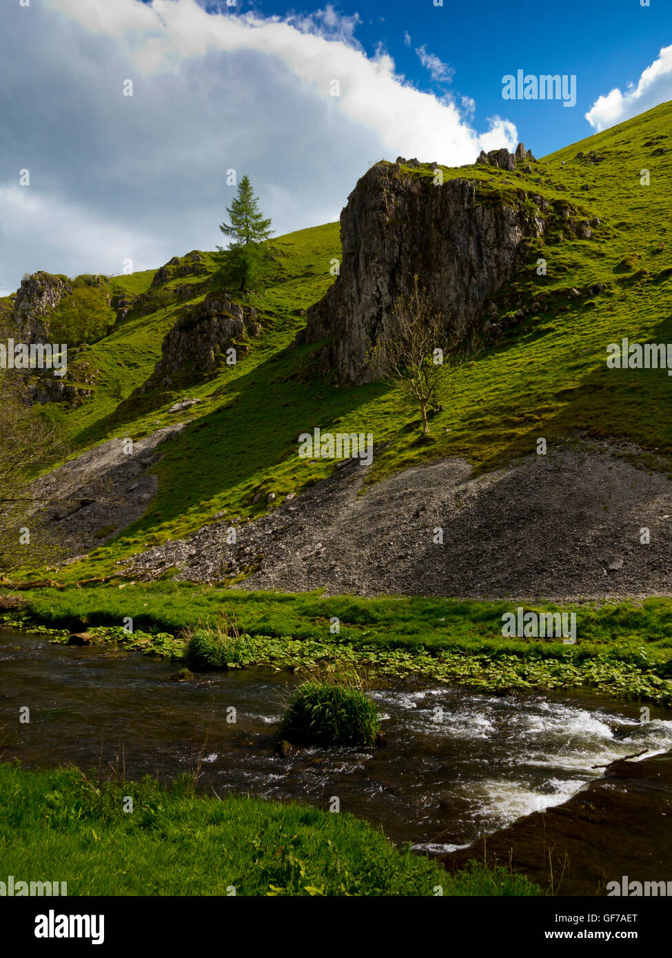 Limestone scenery at Wolfscote Dale near Hartington in White Peak area ...