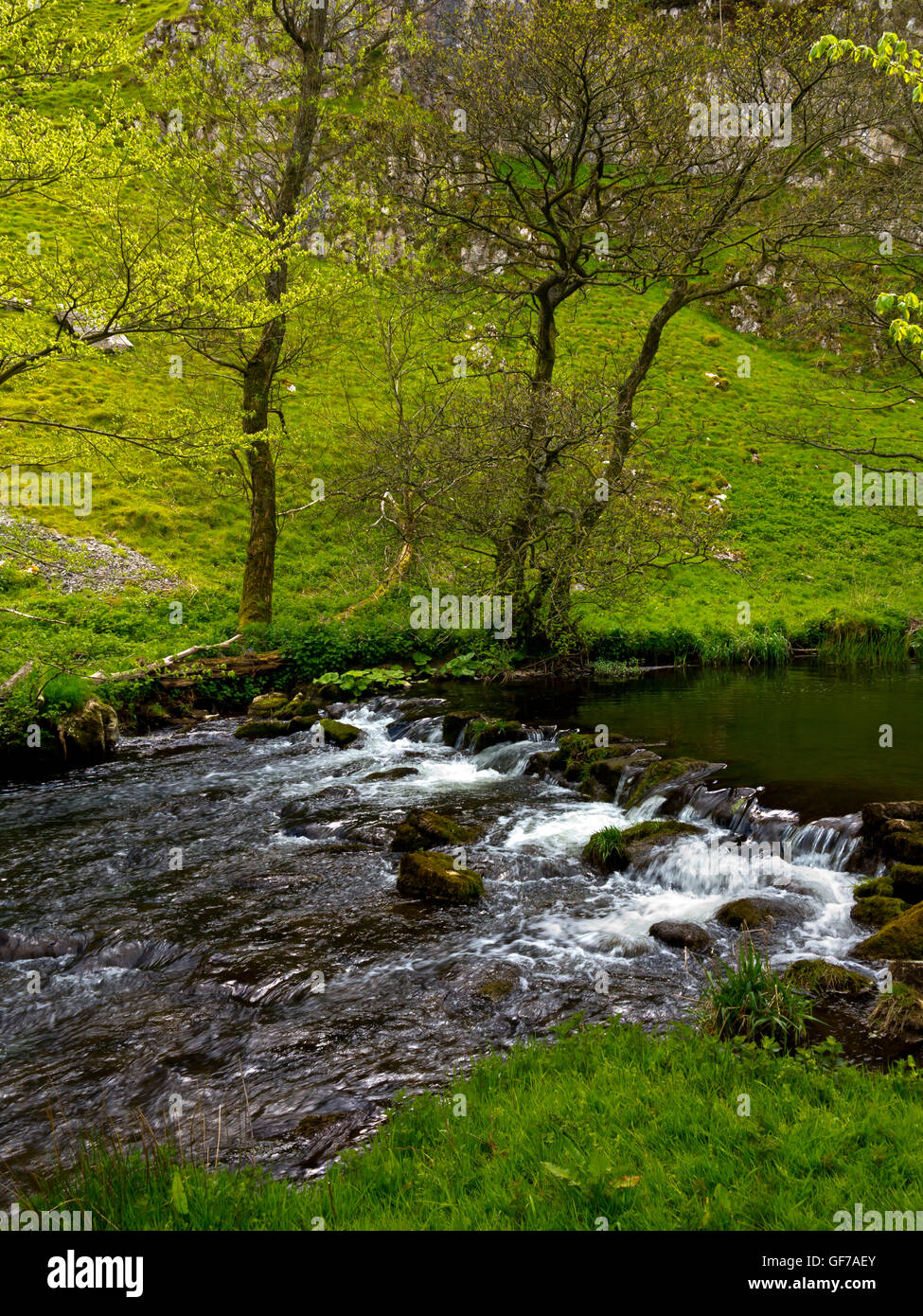 River Dove at Wolfscote Dale near Hartington in White Peak area of the ...