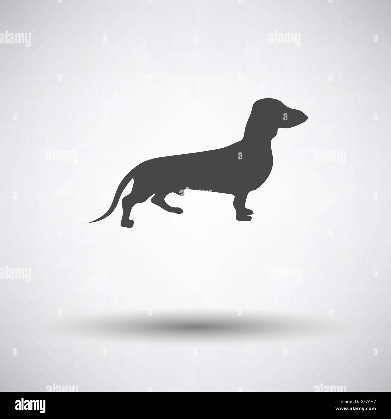 Dachshund dog icon on gray background with round shadow. Vector ...