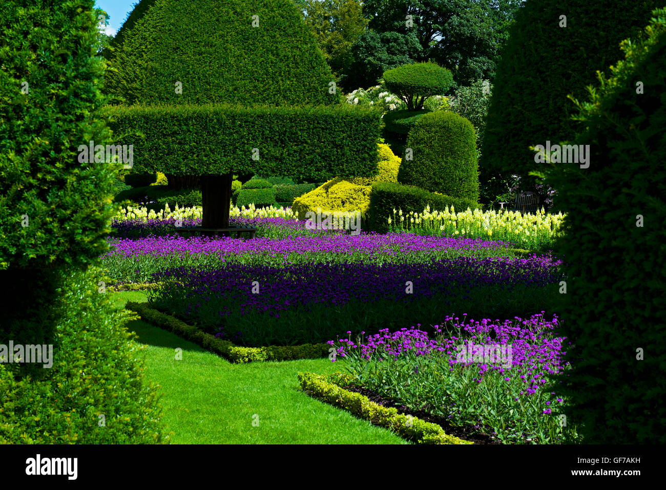 The topiary gardens at Levens Hall, South Lakeland, Cumbria, England UK ...