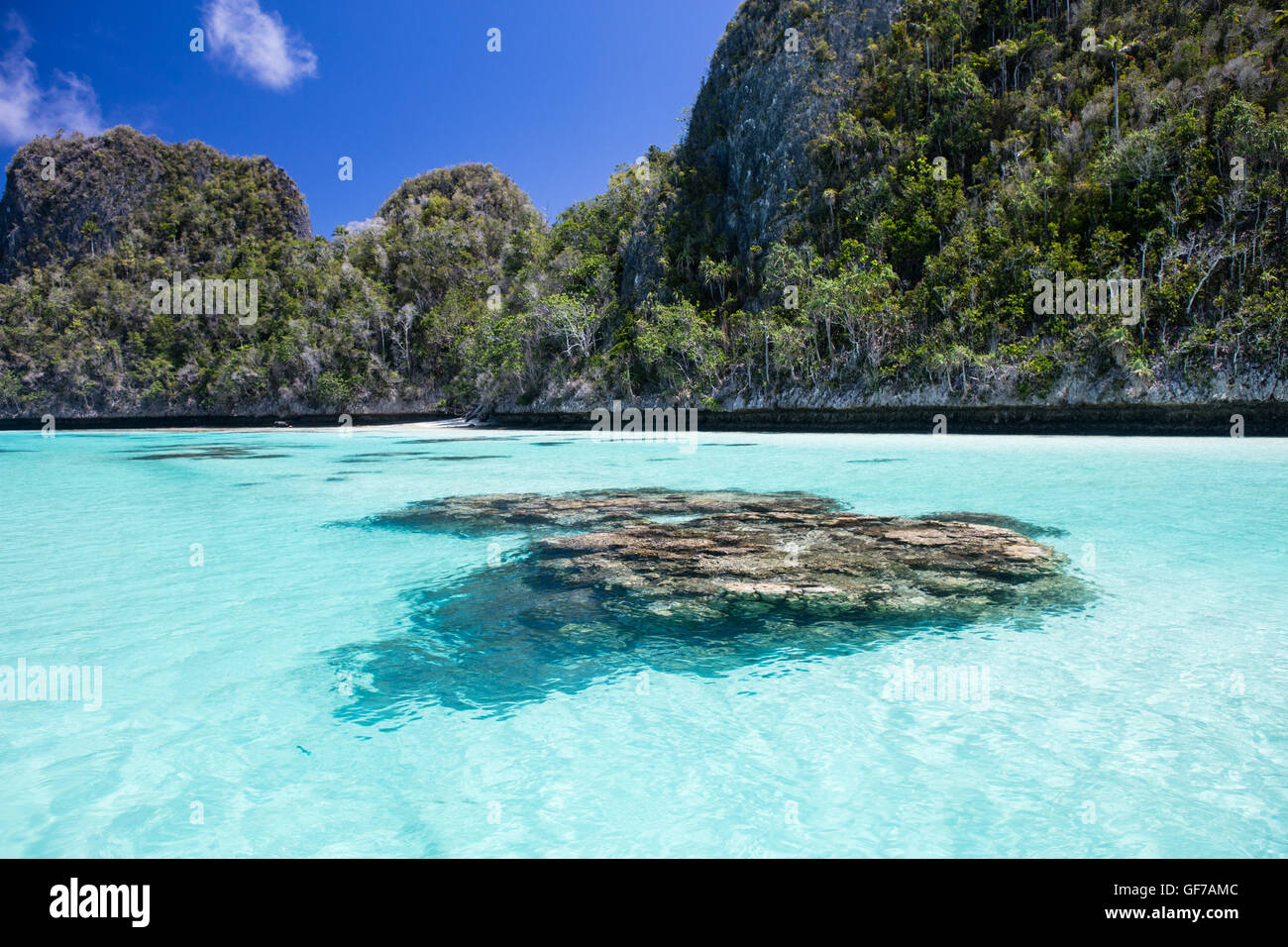Coral bommies grow amid a shallow, sandy lagoon surrounded by beautiful ...