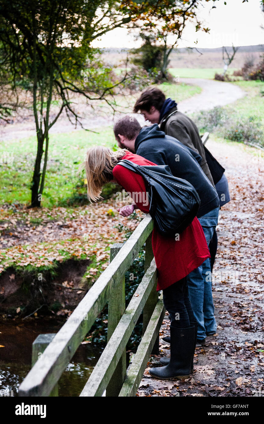 Pooh sticks new forest hi-res stock photography and images - Alamy