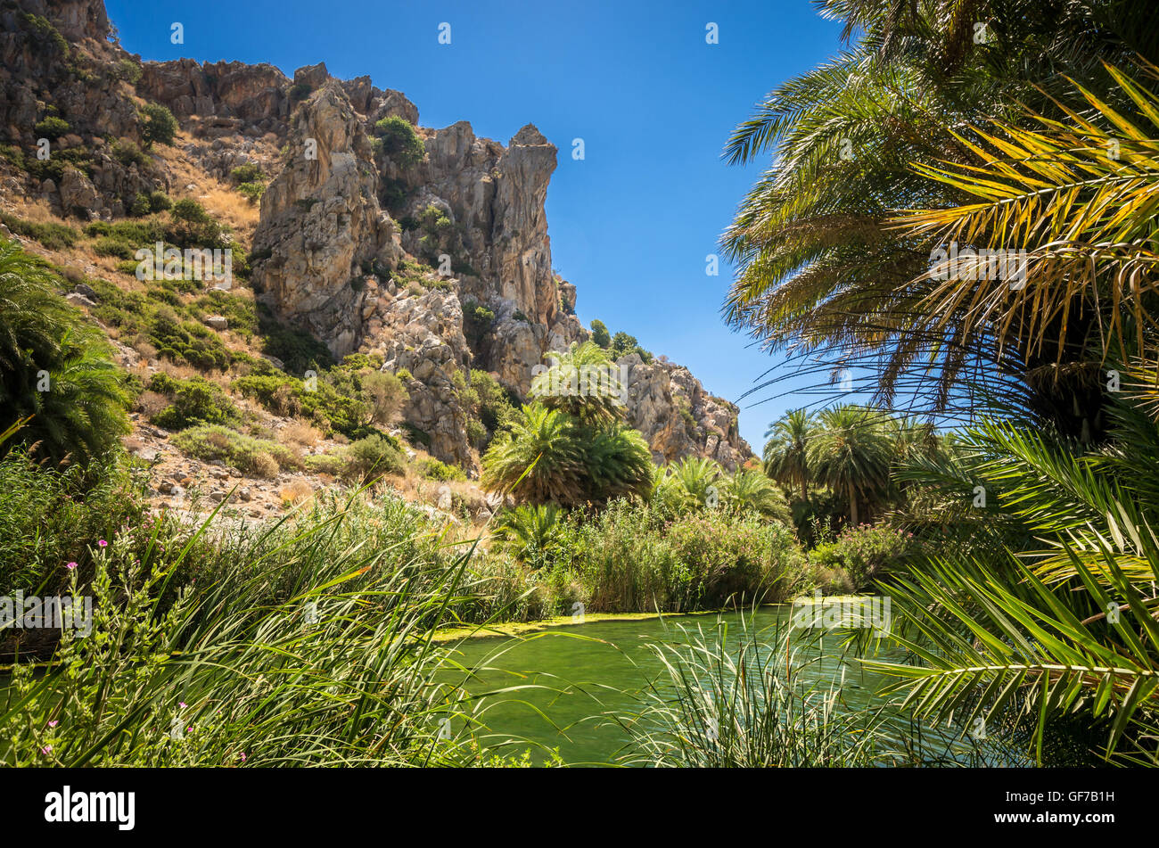 Preveli palm forest in Crete island, Greece. This amazing tropical ...