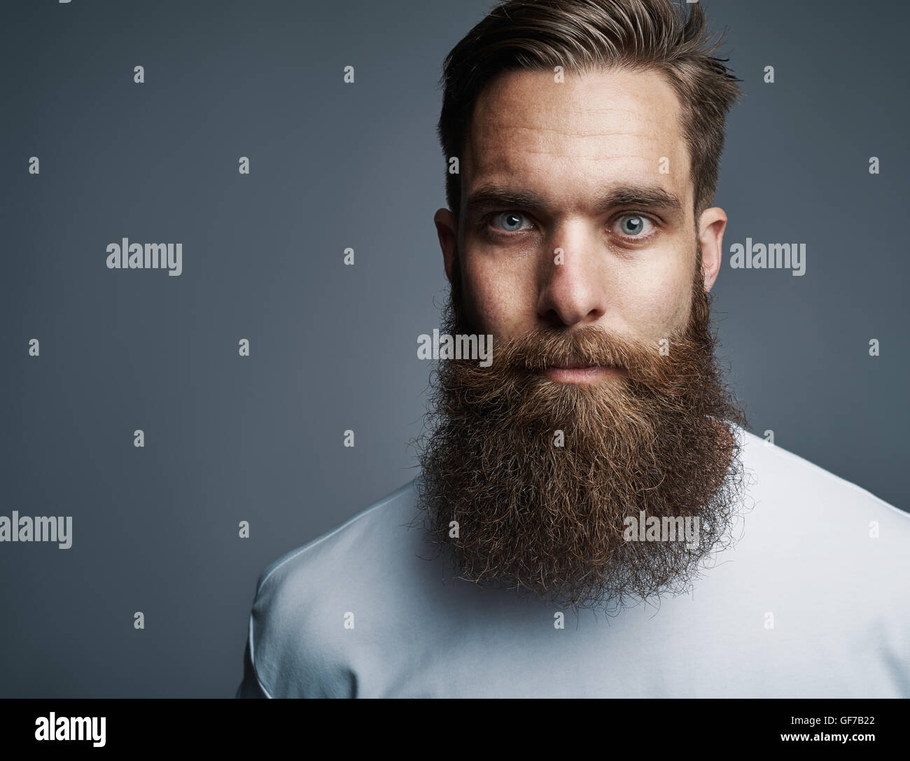 Well groomed beard hi-res stock photography and images - Alamy