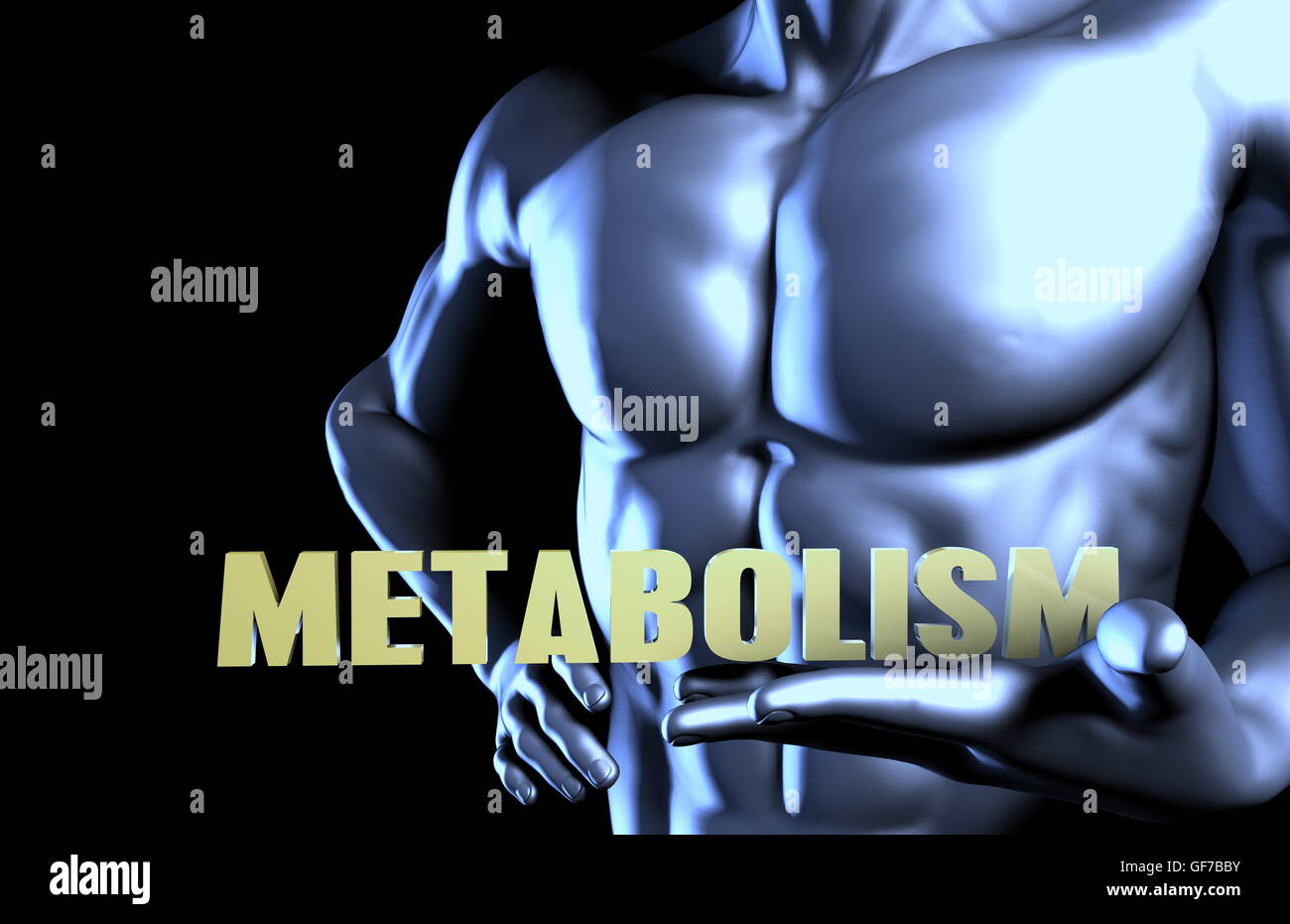 Metabolism With a Business Man Holding Up as Concept Stock Photo - Alamy