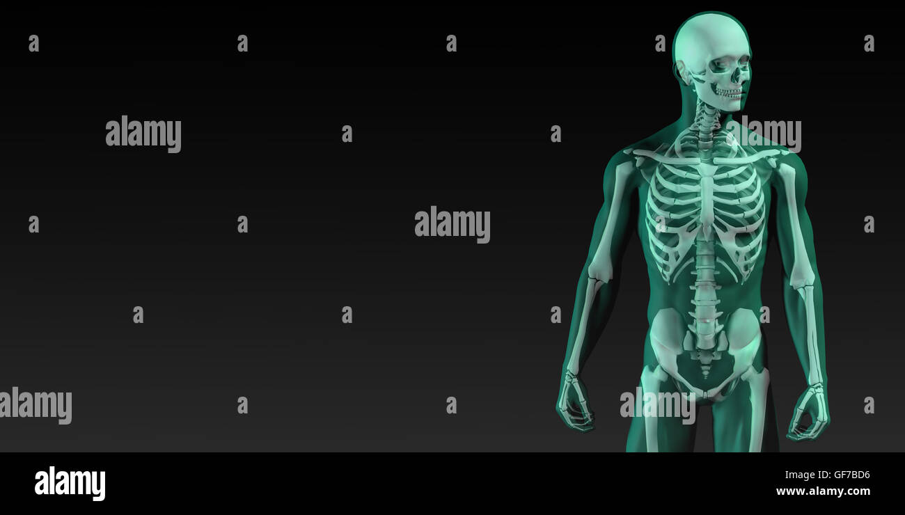 Human Bone Structure Diagram in Blue and Black Stock Photo - Alamy
