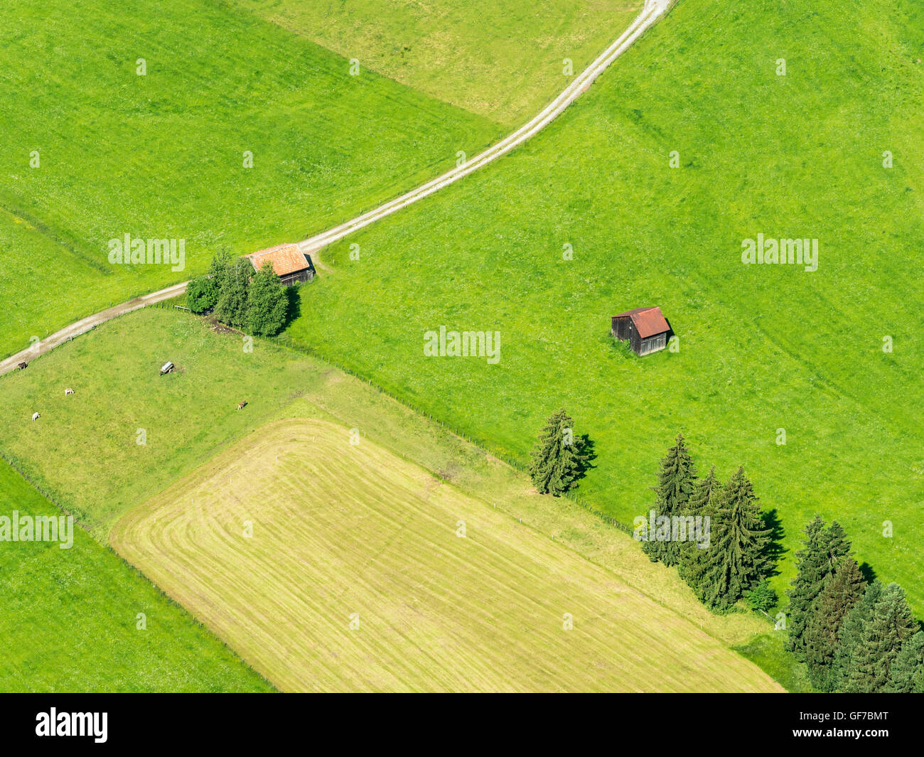 Rural shed on meadow, small farm road, slope of bavarian alps ...