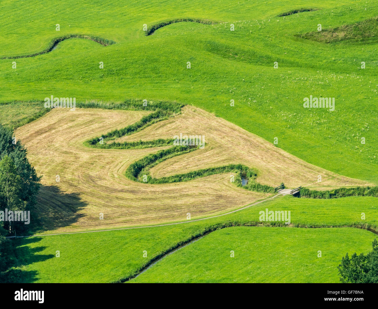 Aerial view, meander of small stream, meadows, slope of bavarian alps ...