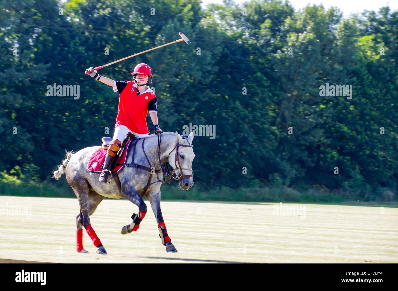Polo red hi-res stock photography and images - Alamy