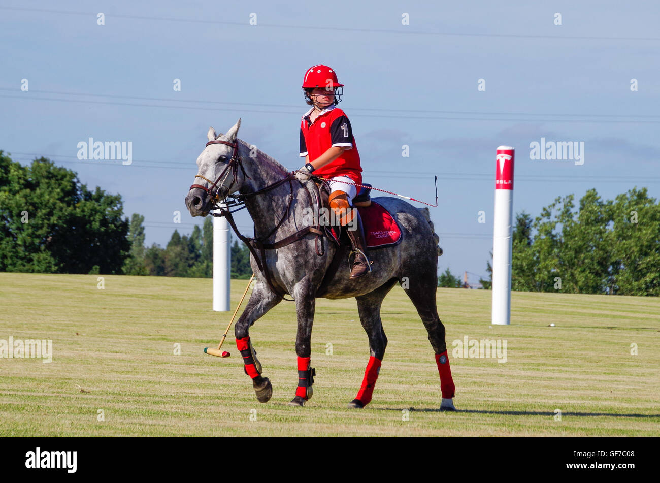 Polo player hi-res stock photography and images - Alamy