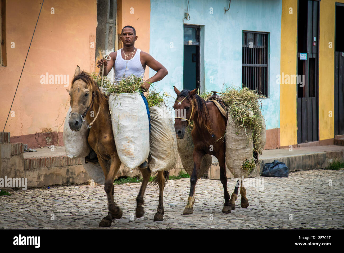 Horse riding trinidad hi-res stock photography and images - Alamy