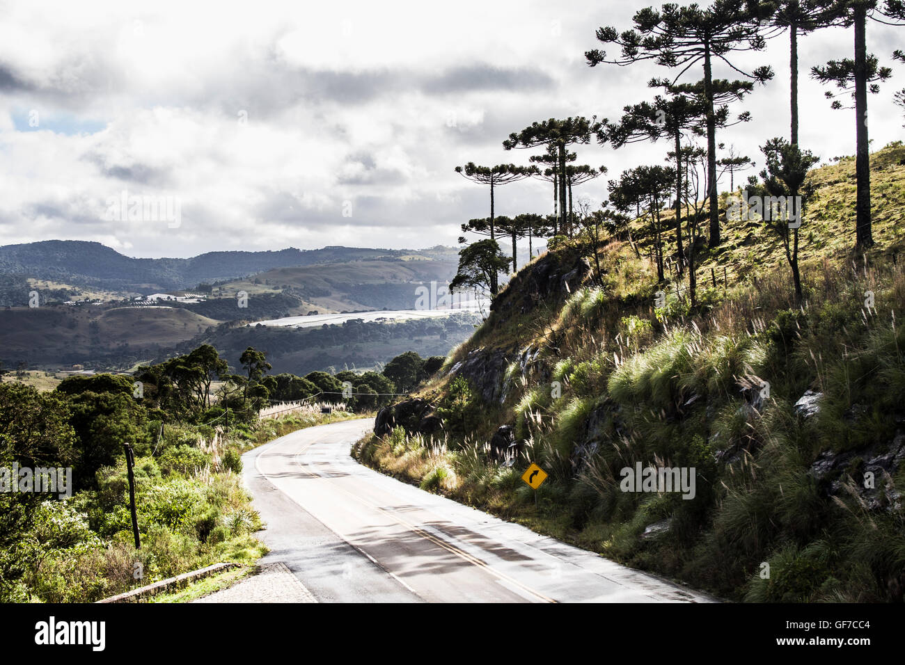 Brazilian highlands hi-res stock photography and images - Alamy