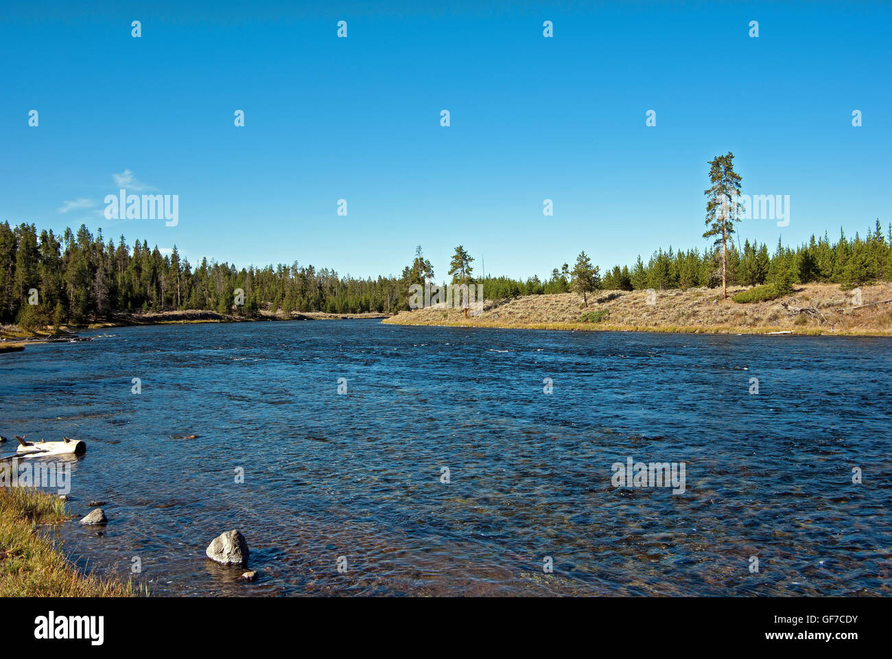Madison river hi-res stock photography and images - Alamy