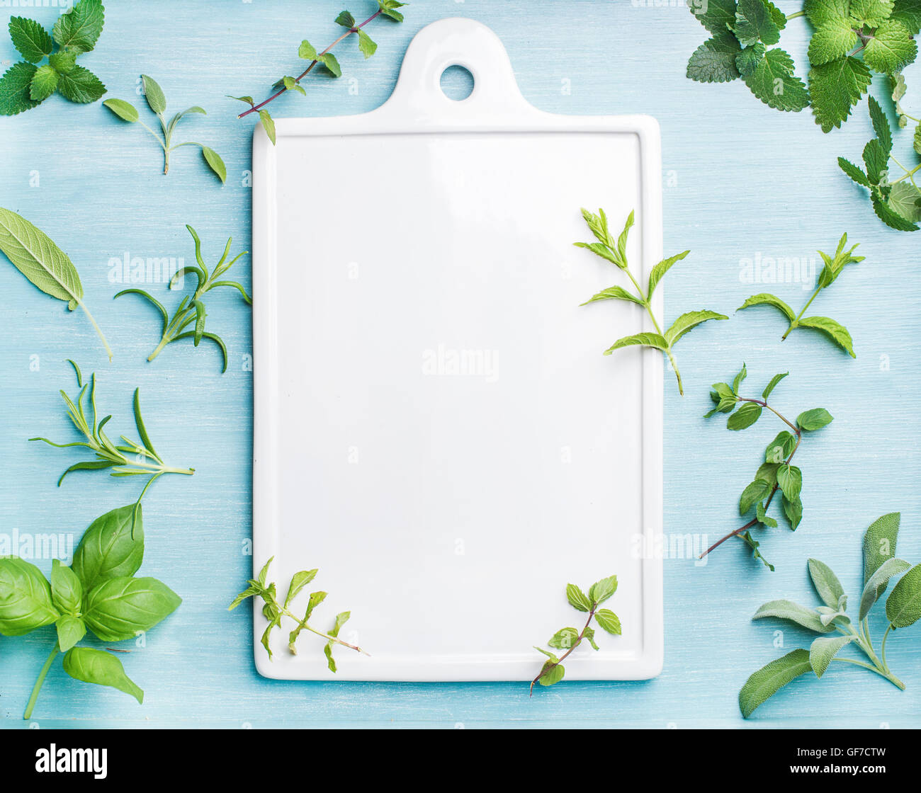 Sage, basil, rosemary, melissa and mint on blue background with copy ...